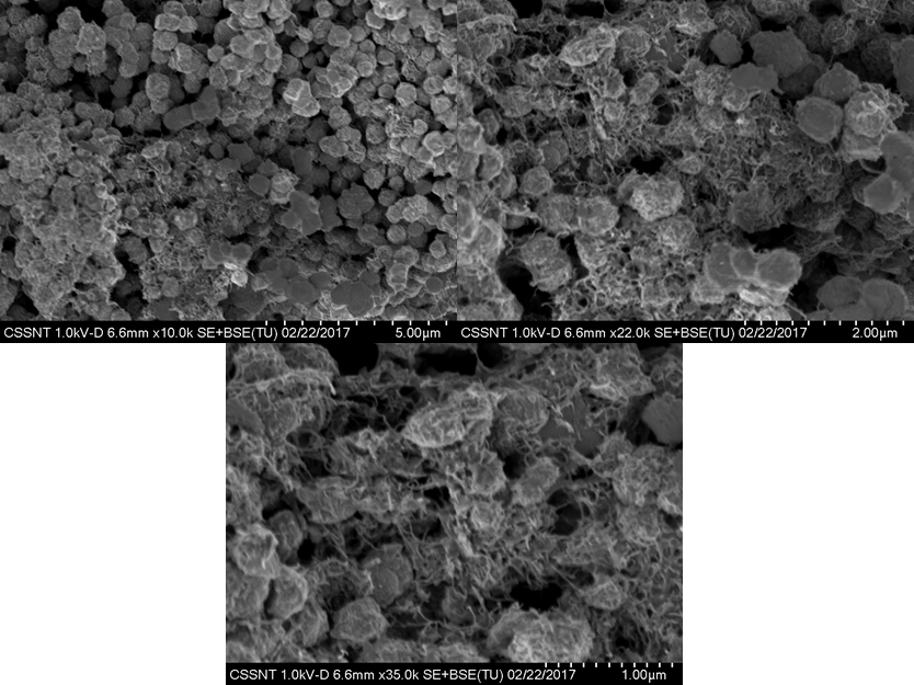 Compusi de Argint si Cobalt cu Nano-Tuburi de carbon – CSSNT-UPB