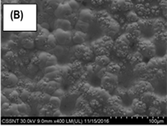 NanoFoams – CSSNT-UPB