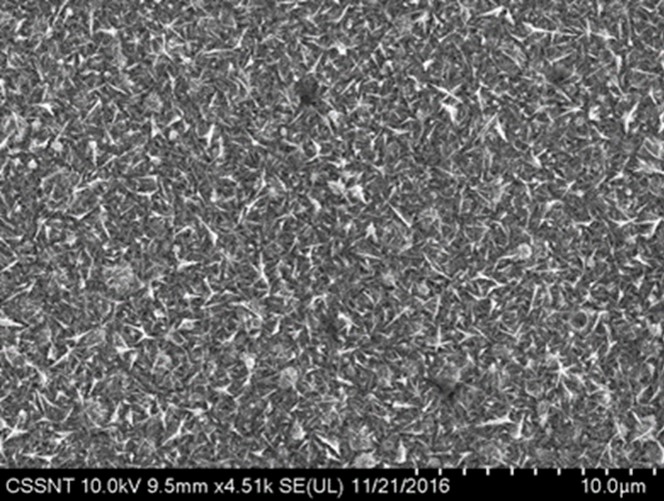 NanoFoams – CSSNT-UPB